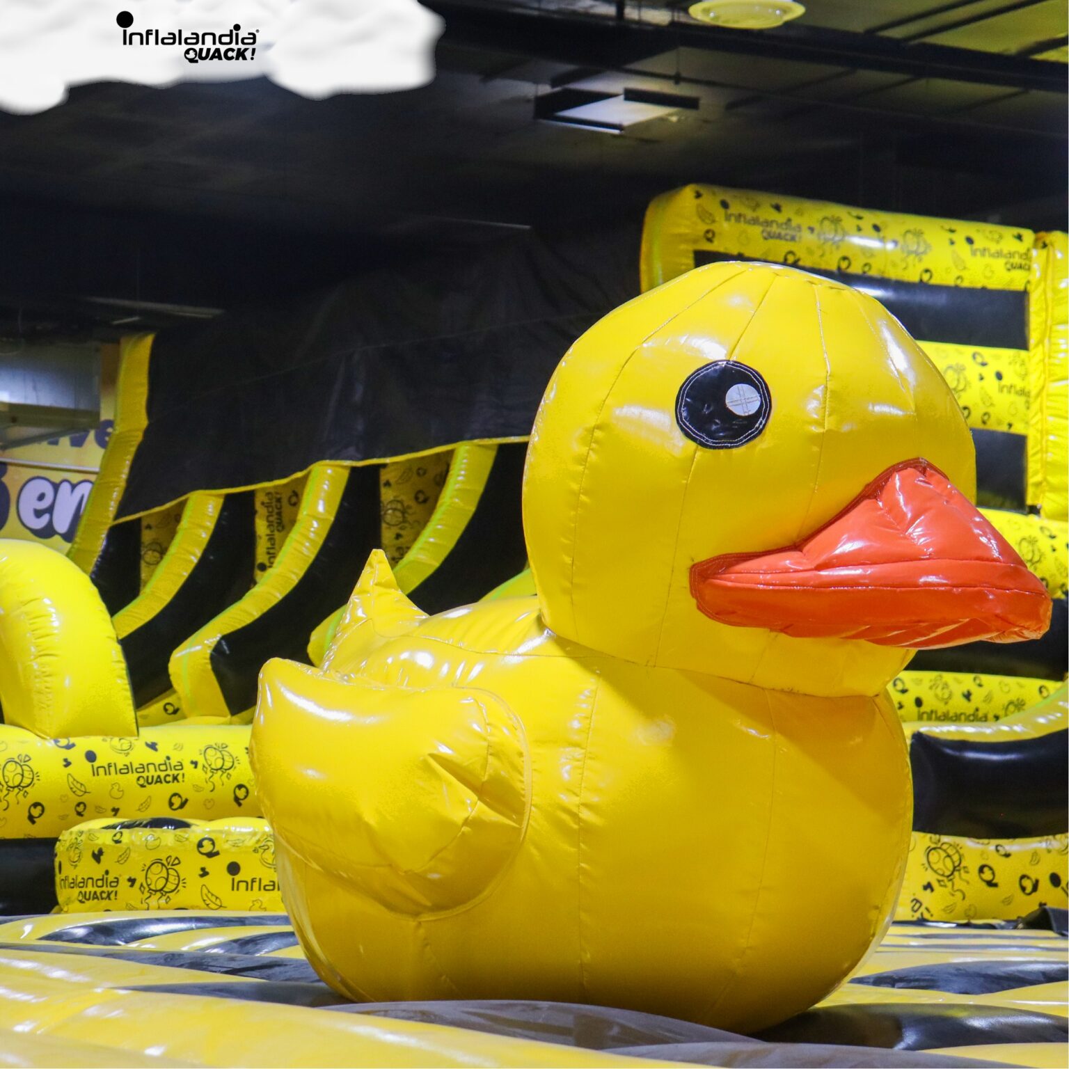 Inflalandia Quack, el increíble parque inflable de patos, ¿dónde está ...