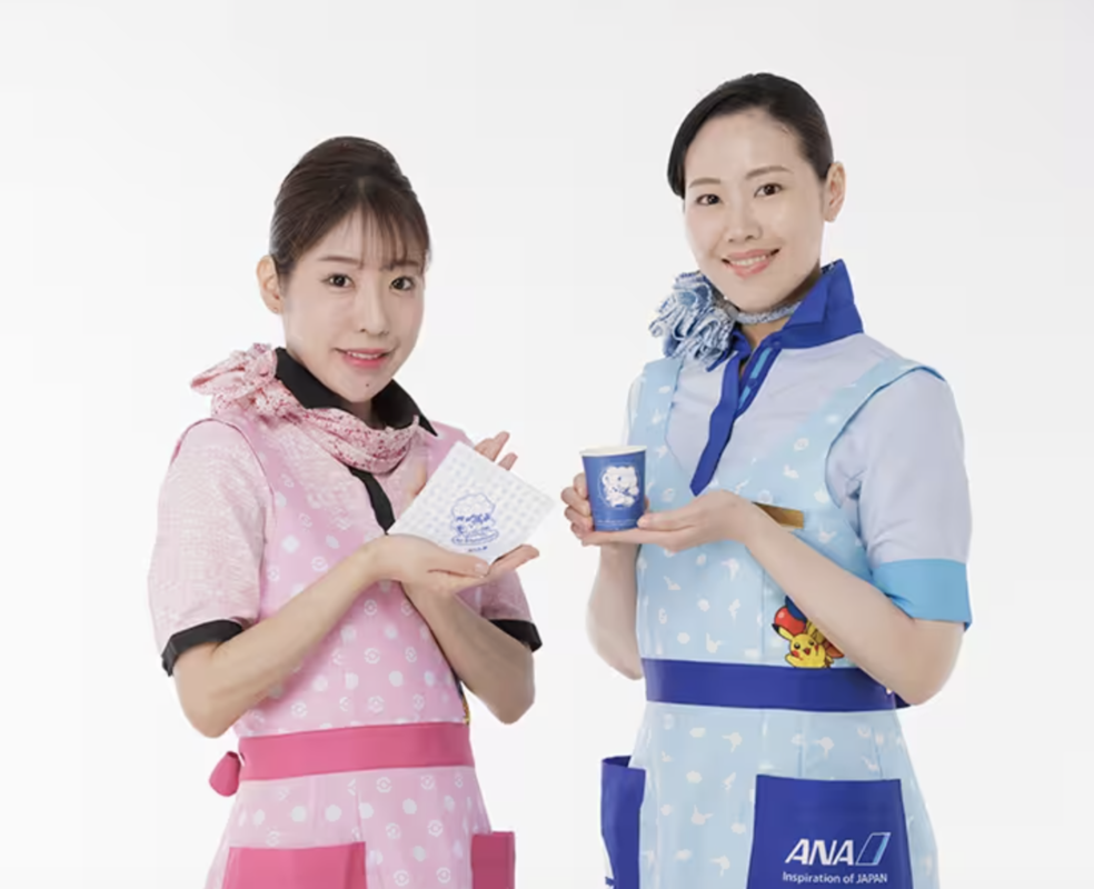 El avión de Pokemón de ANA, una espectacular experiencia | Invertour